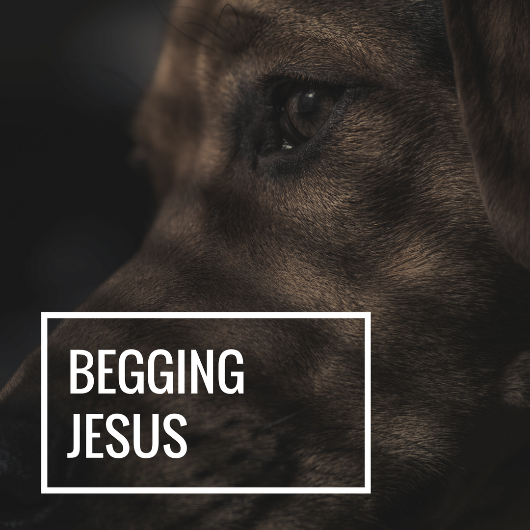 Begging Jesus | Driving Thought